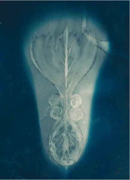 Carnegie Stages - Briony Marshall